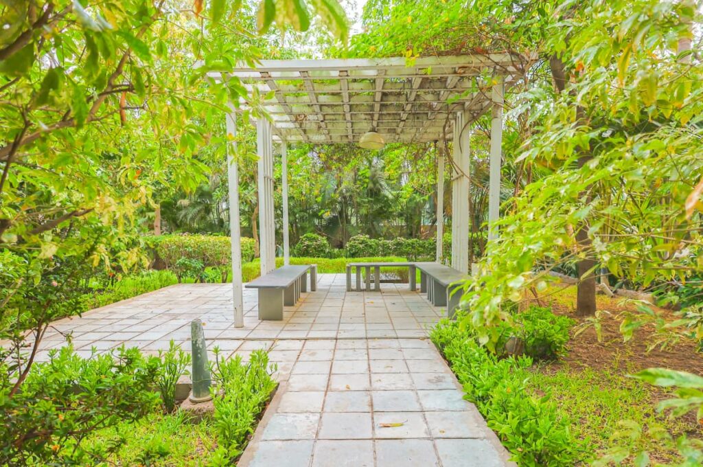 Explore the Stunning Starz Club Gallery | See the Best of Our Amenities